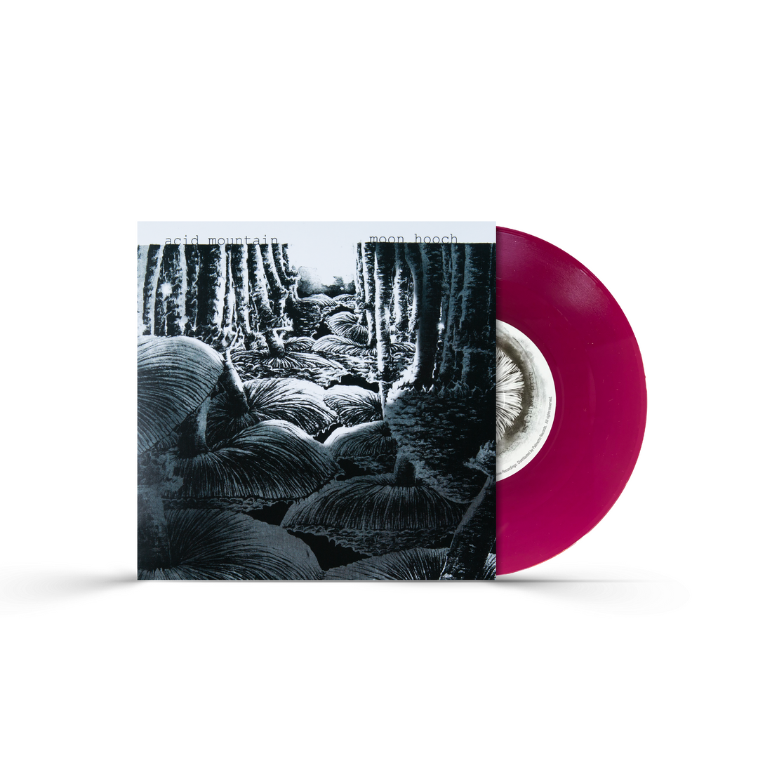 Music – Moon Hooch